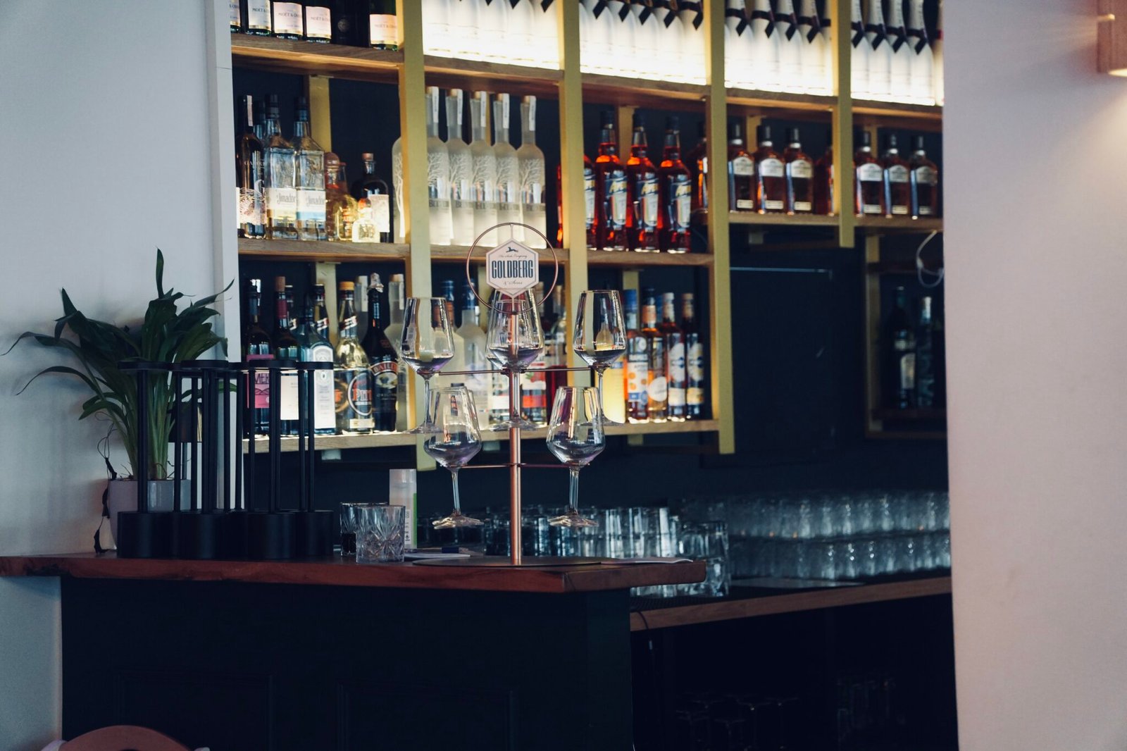 Startseite - stadtwall.com